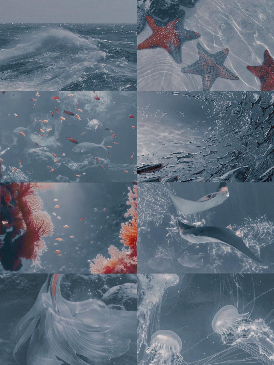 Tálassa :: Turminha do Olimpo